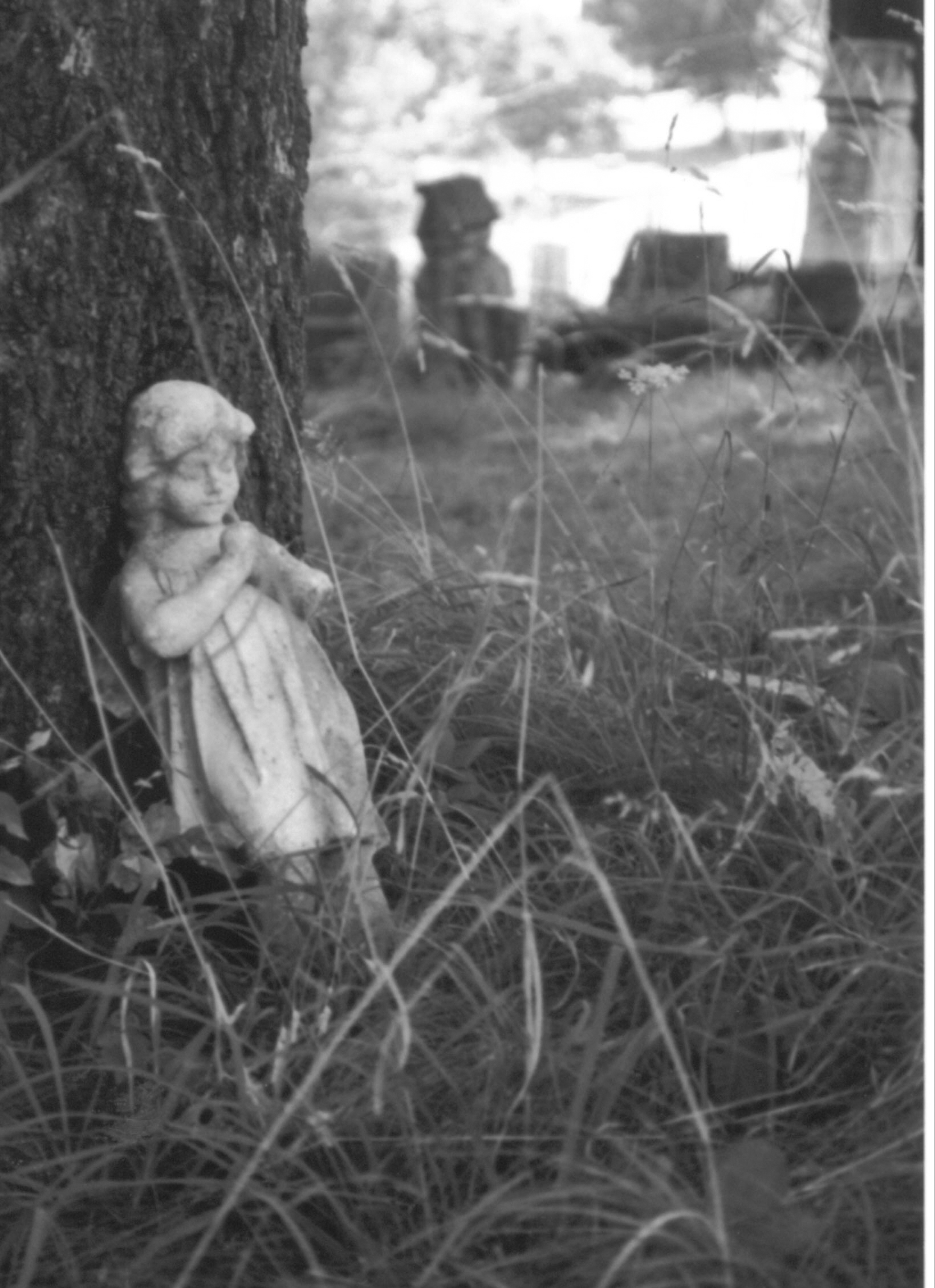 History: The Cemetery – St. Clair Cemetery