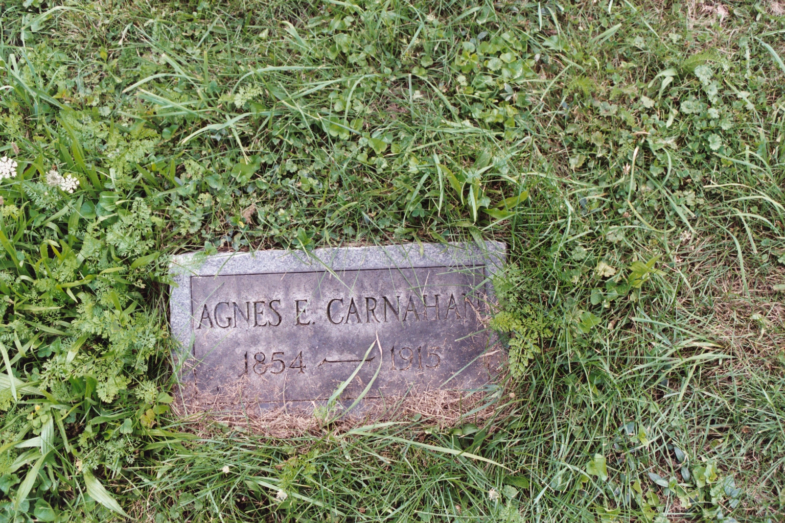 Carnahan Tomb – St. Clair Cemetery