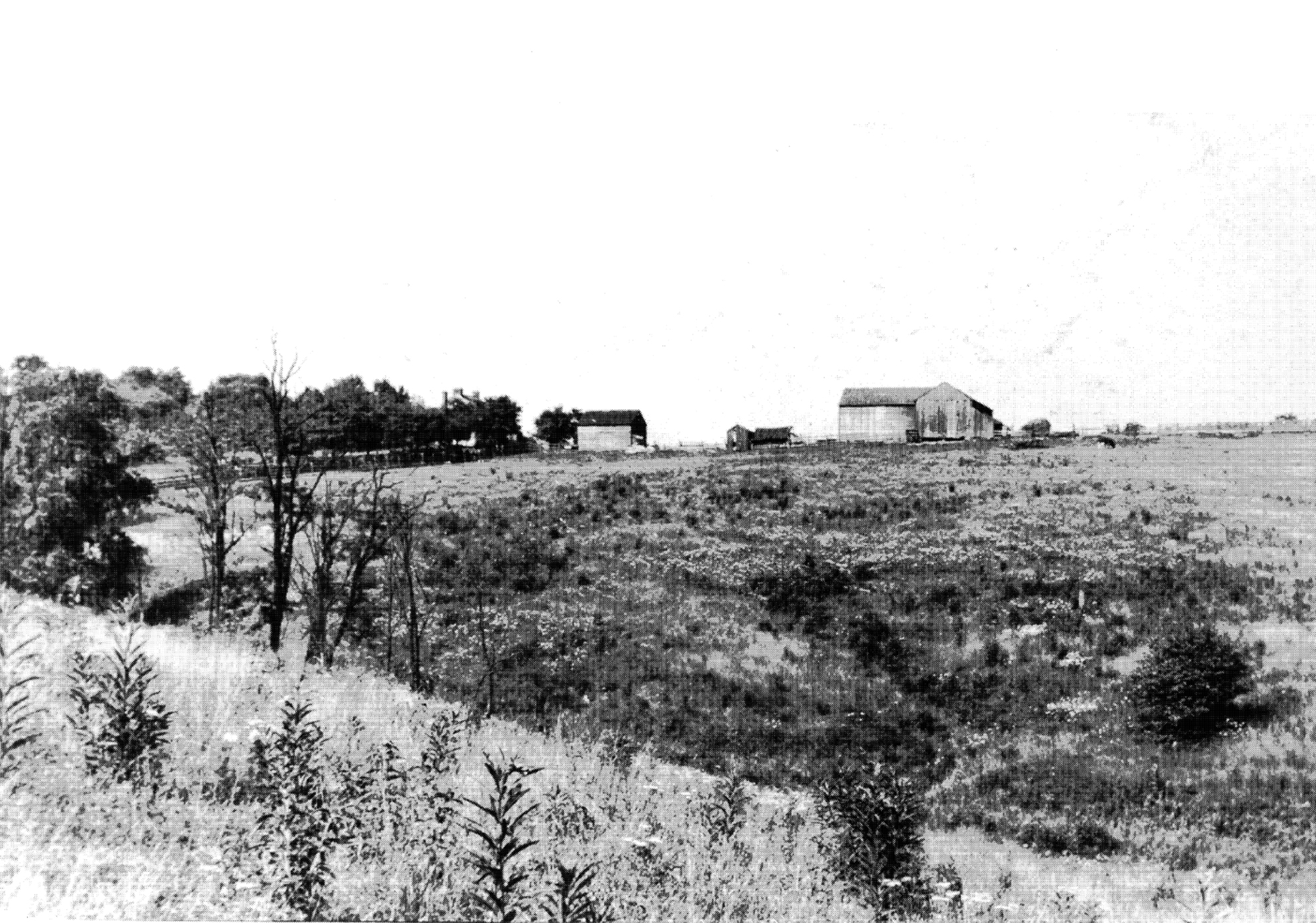 Early Settlers – St. Clair Cemetery