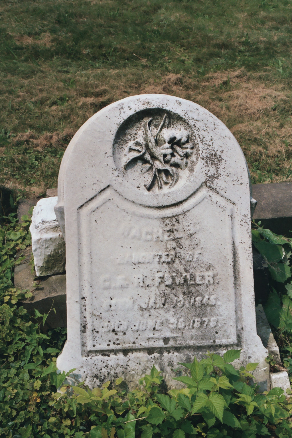 Fowler Tomb – St. Clair Cemetery