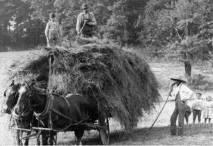 The Hultz Family – St. Clair Cemetery