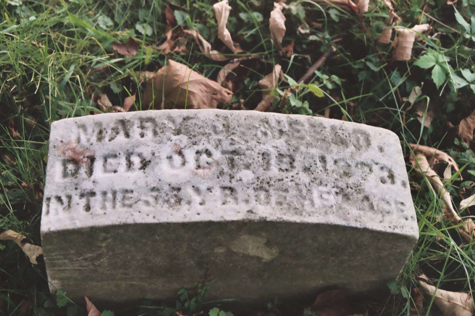 Neeld Tomb – St. Clair Cemetery