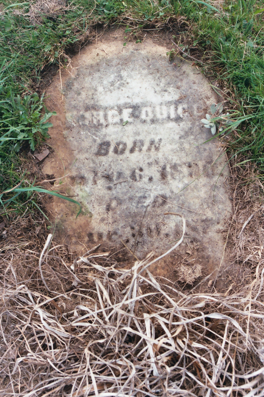 Quigg Tomb – St. Clair Cemetery